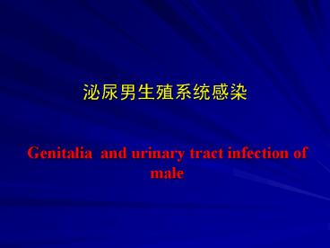 PPT – Genitalia and urinary tract infection of male PowerPoint ...
