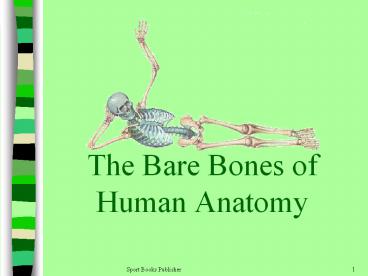 PPT – The Bare Bones of Human Anatomy PowerPoint presentation | free to ...