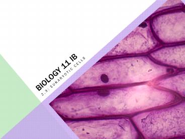 Biology 11 IB presentation | free to view