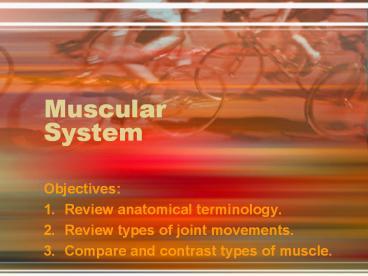 PPT – Muscular System PowerPoint presentation | free to download - id ...