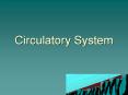 PPT – Circulatory System PowerPoint presentation | free to view - id ...