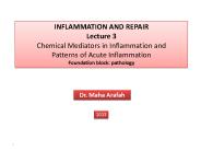 PPT – Acute Inflammation PowerPoint presentation | free to view - id ...