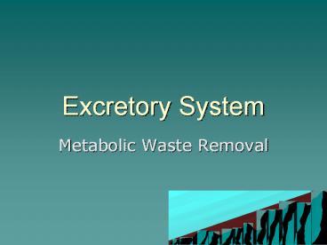 Excretory System presentation | free to download