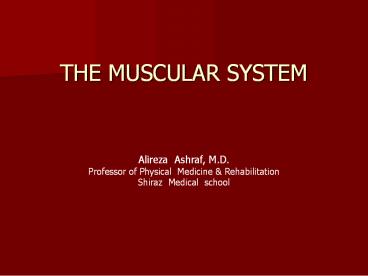THE MUSCULAR SYSTEM presentation | free to download