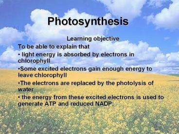 PPT – Photosynthesis PowerPoint presentation | free to download - id ...