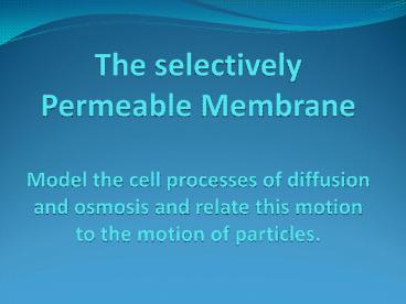 PPT – The selectively Permeable Membrane Model the cell processes of ...