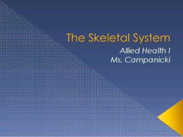 PPT – The Skeletal System PowerPoint presentation | free to view - id ...
