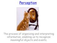 PPT – La Perception PowerPoint presentation | free to download - id ...