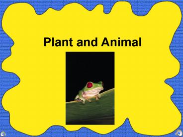 Plant and Animal Cells presentation | free to view