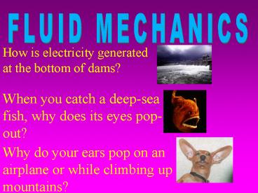 FLUID MECHANICS presentation | free to download