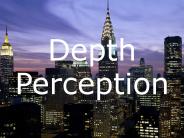 PPT – La Perception PowerPoint presentation | free to download - id ...