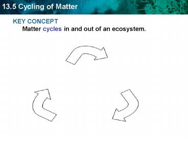 PPT – KEY CONCEPT Matter cycles in and out of an ecosystem. PowerPoint ...