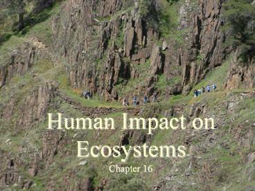 Human Impact on Ecosystems presentation | free to download