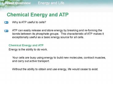 Chemical Energy and ATP presentation | free to download