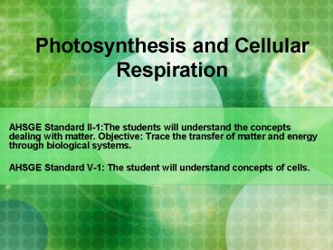 PPT – Photosynthesis and Cellular Respiration PowerPoint presentation ...