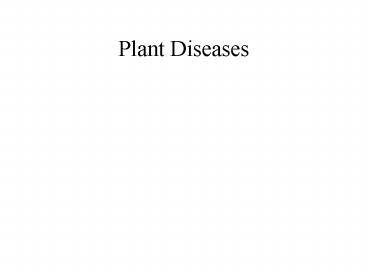 Plant Diseases presentation | free to download