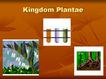 PPT – Kingdom Plantae PowerPoint presentation | free to view - id ...