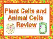 PPT – Animal Cells and Plant Cells PowerPoint presentation | free to ...