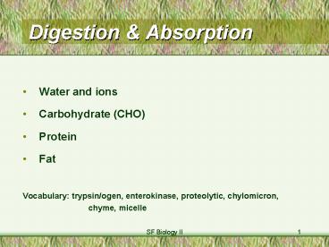 PPT – Digestion PowerPoint presentation | free to view - id: 7720b0-MWVlN
