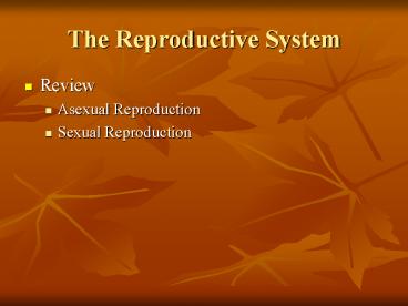 PPT – The Reproductive System PowerPoint presentation | free to ...
