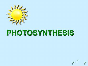 PPT – Photosynthesis PowerPoint presentation | free to download - id ...