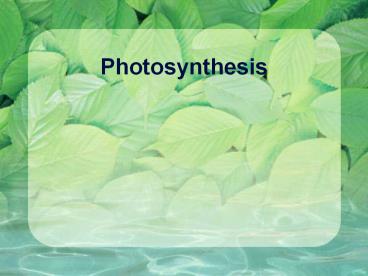 PPT – Photosynthesis PowerPoint presentation | free to download - id ...
