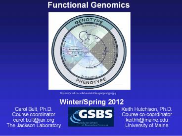 PPT – Functional Genomics PowerPoint presentation | free to download ...