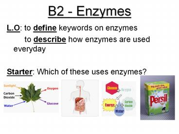 B2 - Enzymes presentation | free to download