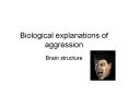 PPT – Firesetters: Psychological Explanations of Behaviour PowerPoint ...