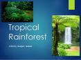 PPT – Tropical Rainforest PowerPoint presentation | free to view - id ...