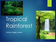 PPT – Tropical Rainforest PowerPoint presentation | free to view - id ...