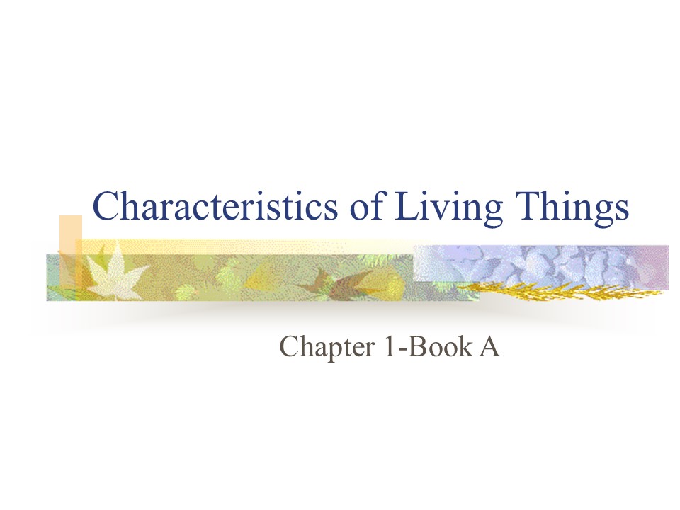 Characteristics of Living Things presentation | free to view