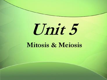 PPT – Mitosis PowerPoint presentation | free to download - id: 77f942-MDZkO