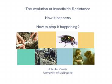 PPT – The evolution of Insecticide Resistance How it happens How to ...
