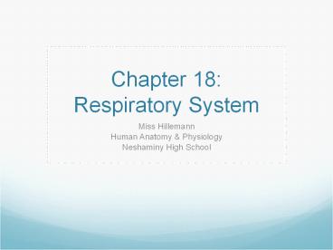 PPT – The Anatomy and Physiology of the Respiratory System PowerPoint ...