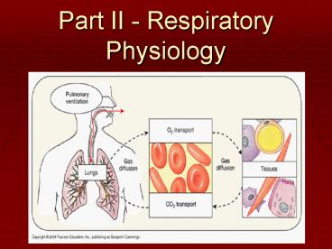 Part II - Respiratory Physiology presentation | free to view