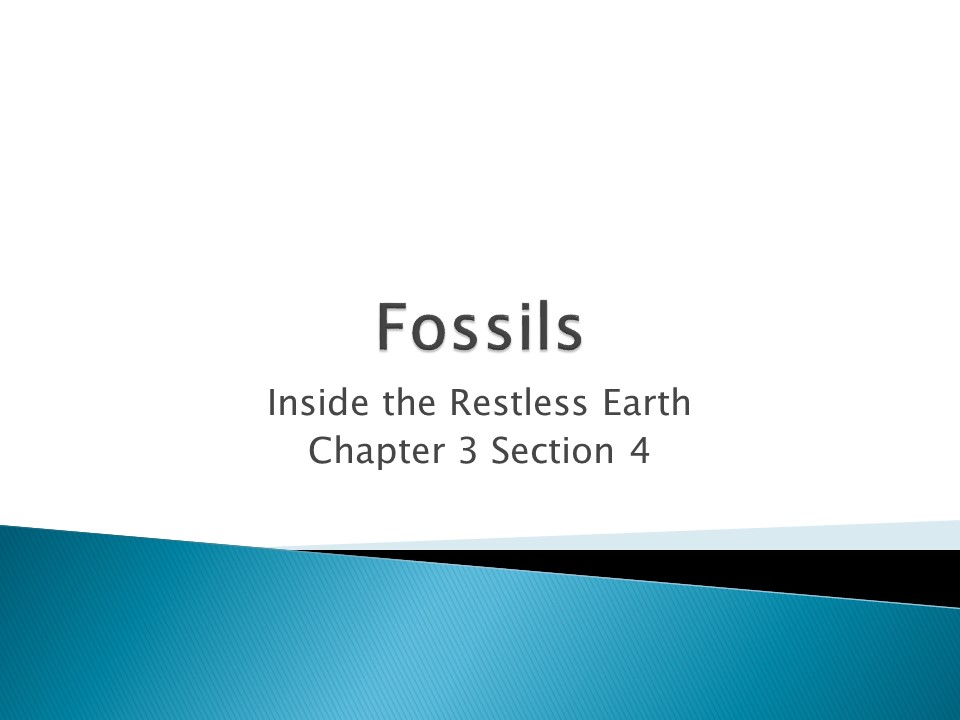 Fossils presentation | free to view