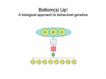 Bottom(s) Up! A biological approach to behavioral genetics presentation ...