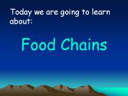 PPT – Twenty Questions PowerPoint presentation | free to download - id ...