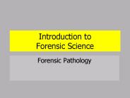 PPT – FORENSIC SCIENCE Trace Evidence PowerPoint presentation | free to ...