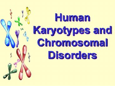 Human Karyotypes and Chromosomal Disorders presentation | free to view