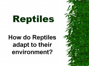 PPT – Reptiles PowerPoint presentation | free to download - id: 78bca8 ...