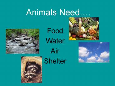 Animals Need presentation | free to view
