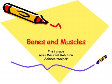 Bones and Muscles presentation | free to view