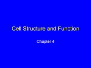 Cell Structure and Function presentation | free to download
