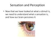 PPT – La Perception PowerPoint presentation | free to download - id ...