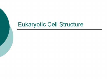Eukaryotic Cell Structure presentation | free to view