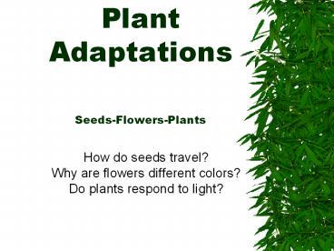 Plant Adaptations Seeds-Flowers-Plants presentation | free to view