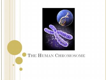 The Human Chromosome presentation | free to download