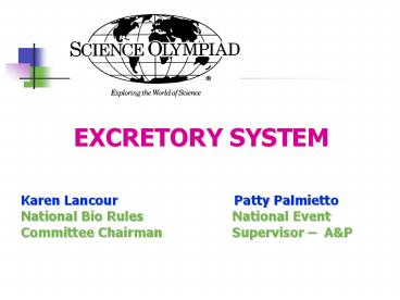 PPT – EXCRETORY SYSTEM PowerPoint presentation | free to view - id ...